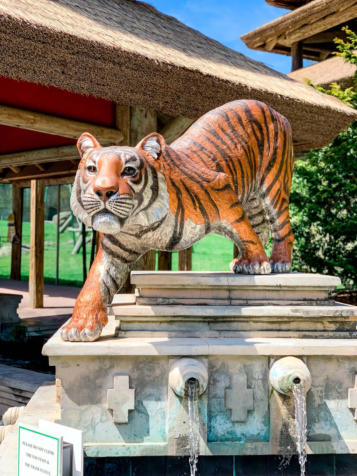 Family Day Trip to the Virginia Zoo in Norfolk - Itinerary & Tips