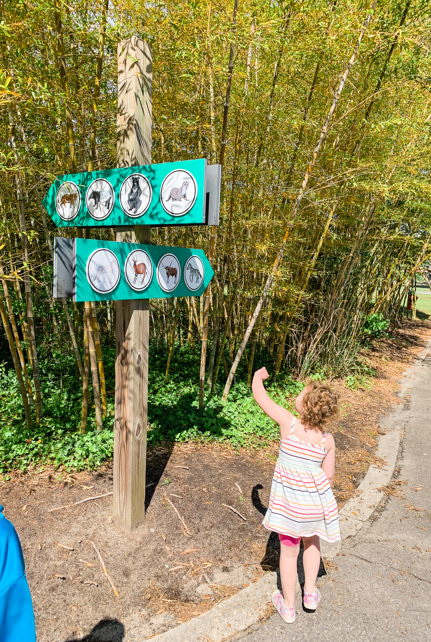 Family Day Trip to the Virginia Zoo in Norfolk - Itinerary & Tips