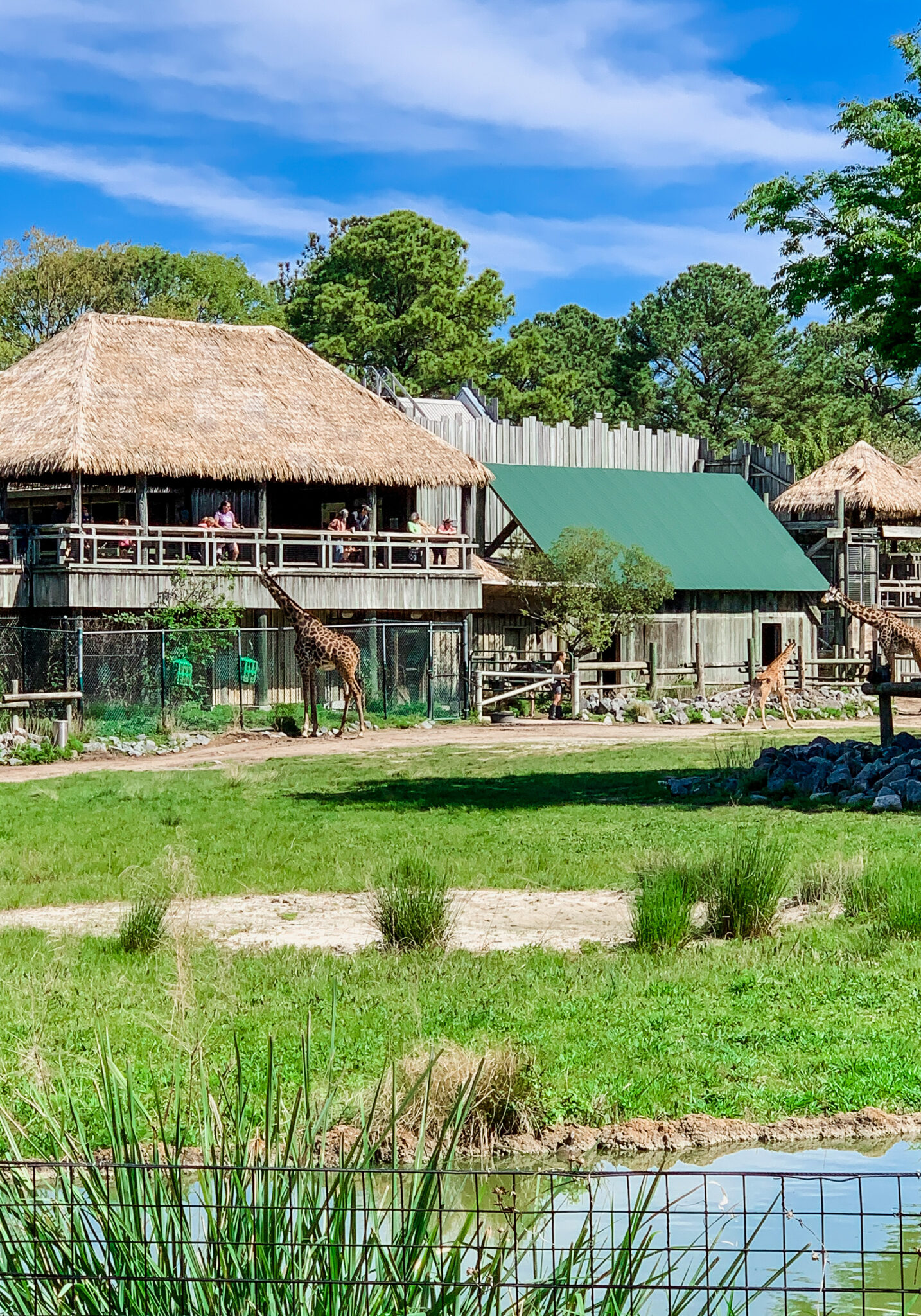 Family Day Trip to the Virginia Zoo in Norfolk - Itinerary & Tips