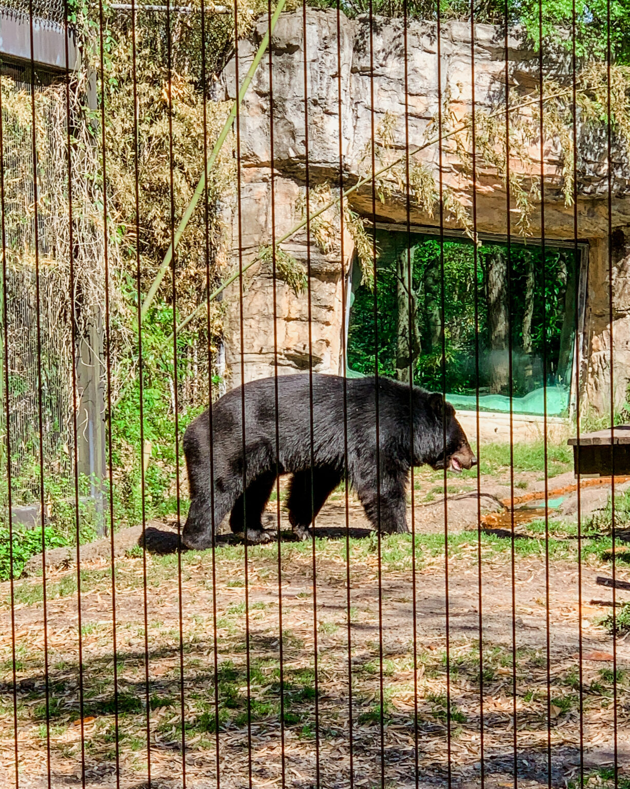 Family Day Trip to the Virginia Zoo in Norfolk - Itinerary & Tips